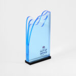 9 Creative Custom Trophy Ideas for Every Achievement - PES